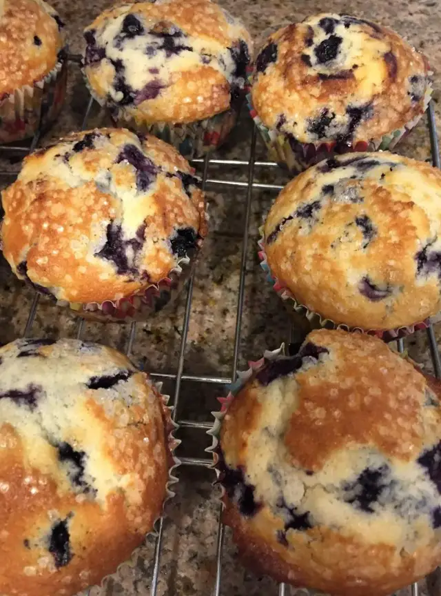 fluffy Blueberry Muffins - Recipes